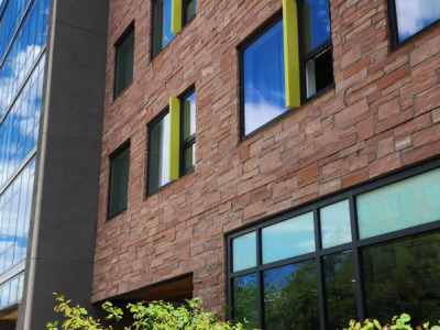 Lyons Red Thin Veneer